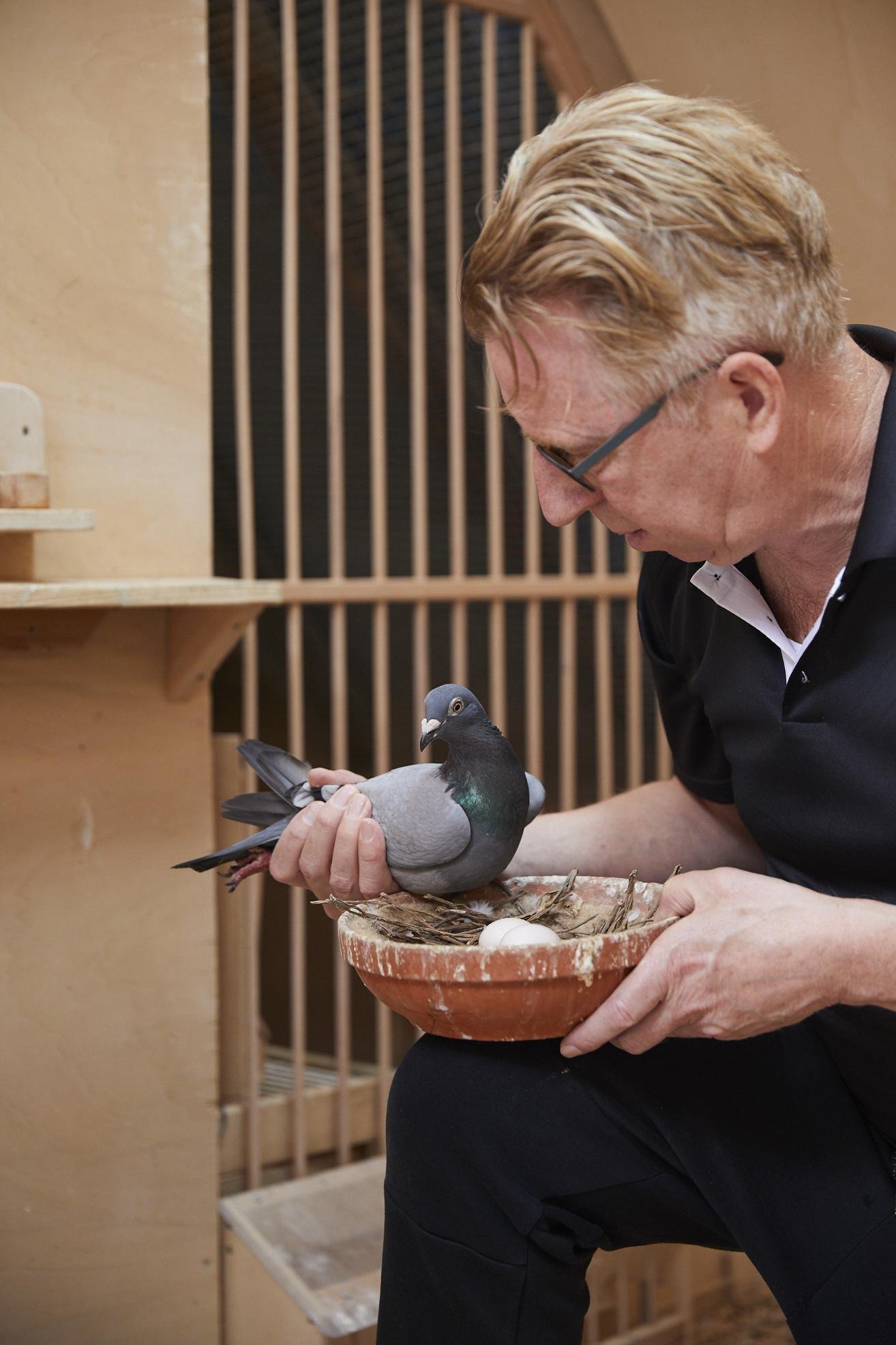 The Legacy of Gerard Koopman in Racing Pigeons
