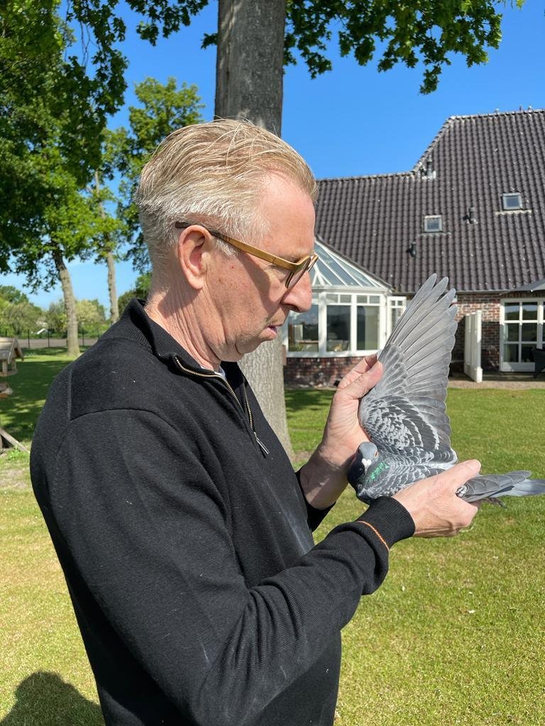 The Legacy of Gerard Koopman in Racing Pigeons