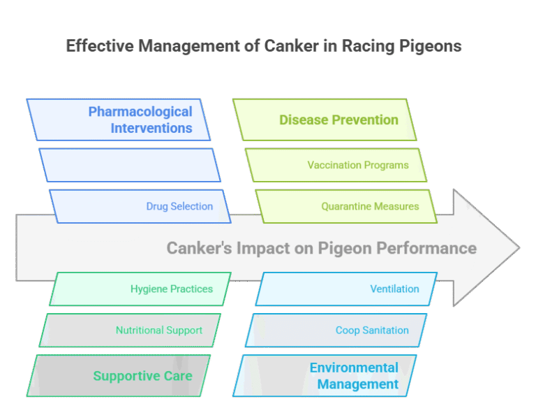 Understanding Canker in Racing Pigeons: A Comprehensive Scientific Report